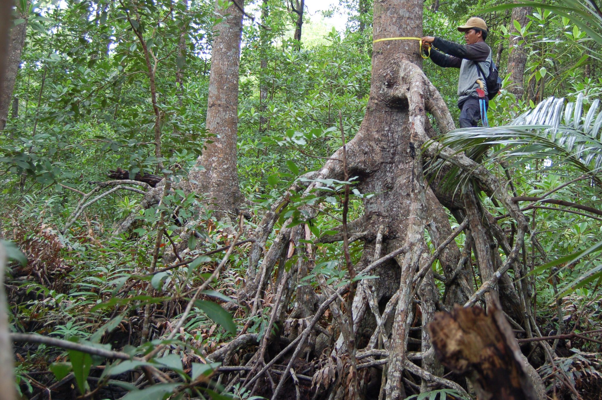 Acknowledgements - CLUA